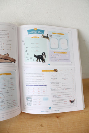 Good And Beautiful Math 6 Answer Key & Course Books 1 & 2 – Jubilee Thrift